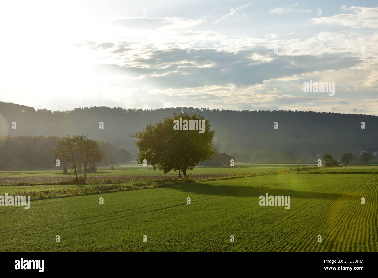 Autumn in Deister ,Germany Stock Photo - Alamy