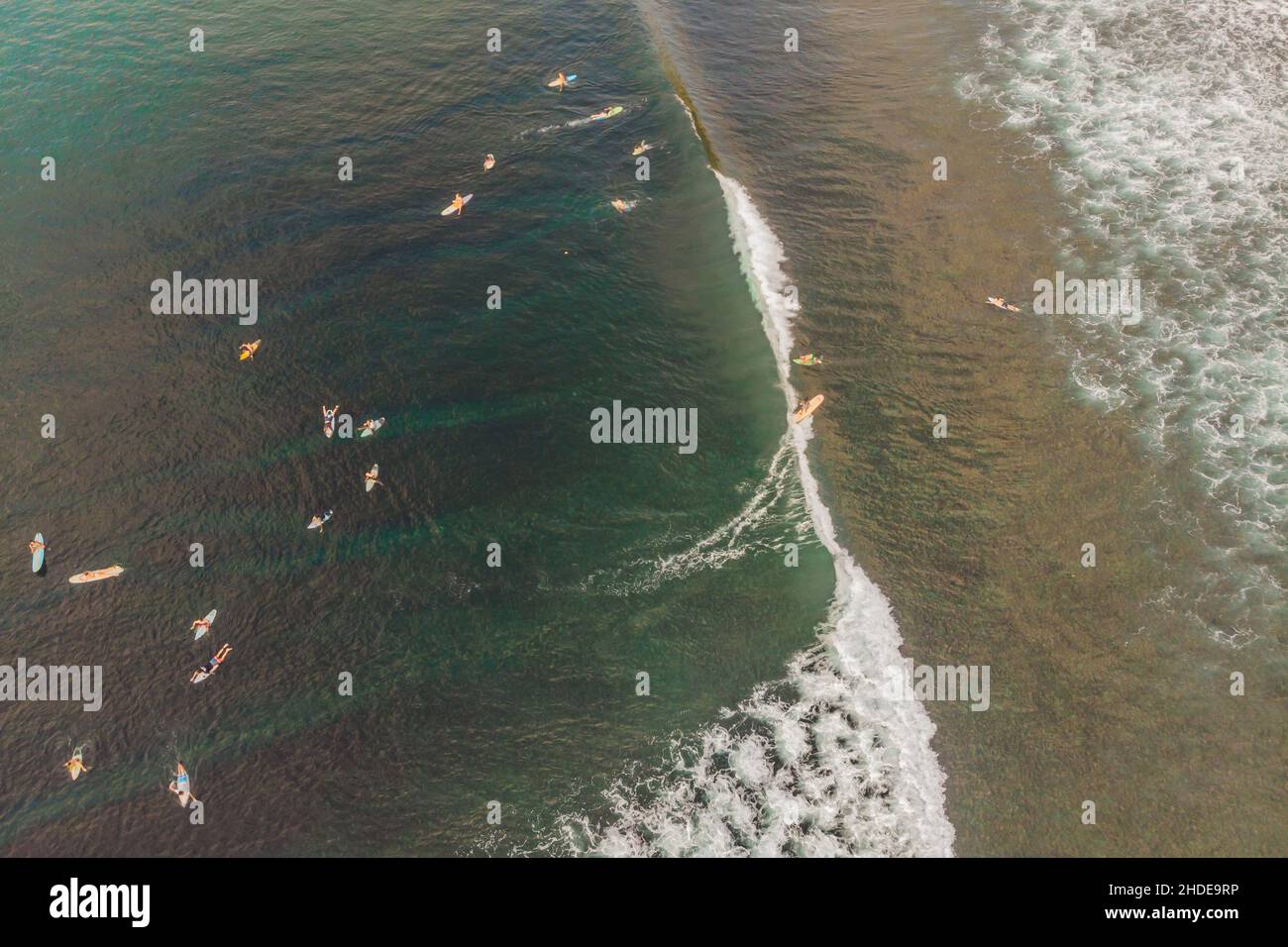 Aerial shot tropical beach surfers hi-res stock photography and images ...