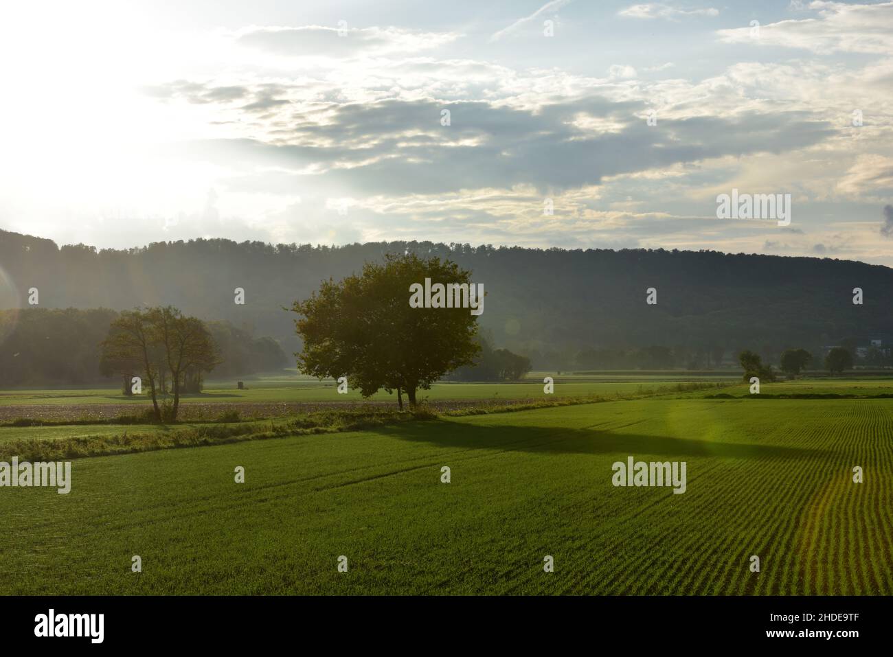 Autumn in Deister ,Germany Stock Photo - Alamy