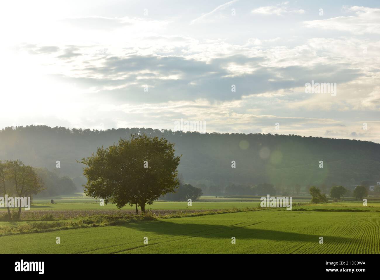 Autumn in Deister ,Germany Stock Photo - Alamy