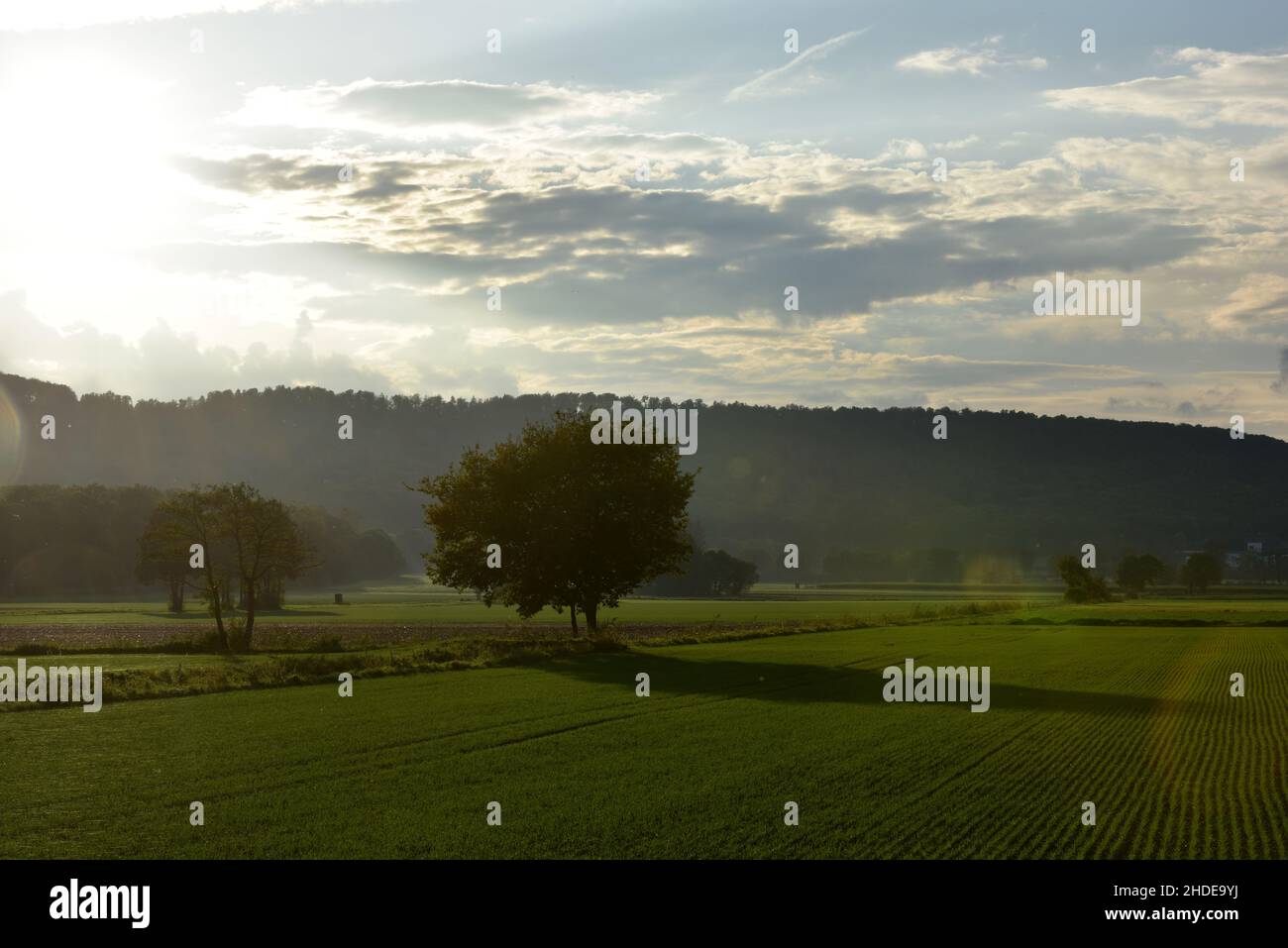 Autumn in Deister ,Germany Stock Photo - Alamy