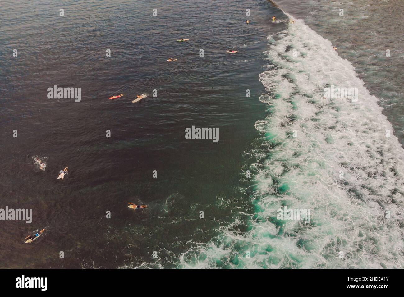 Surfers on the waves in the ocean, top view Stock Photo - Alamy