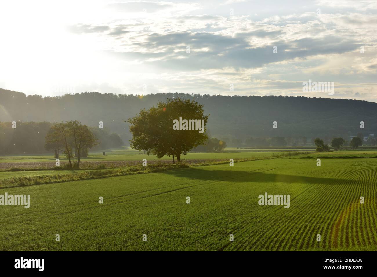 Autumn in Deister ,Germany Stock Photo - Alamy