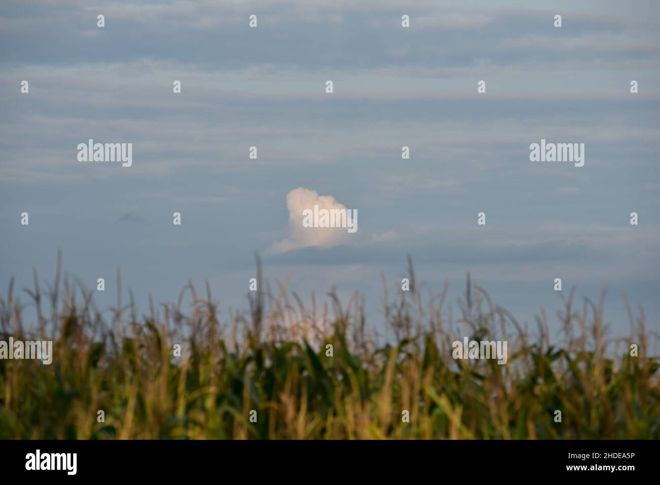 Autumn in Deister ,Germany Stock Photo - Alamy