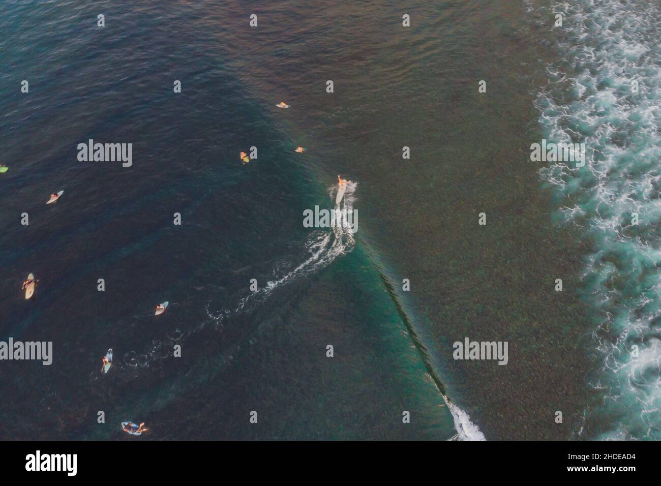 Surfers on the waves in the ocean, top view Stock Photo - Alamy