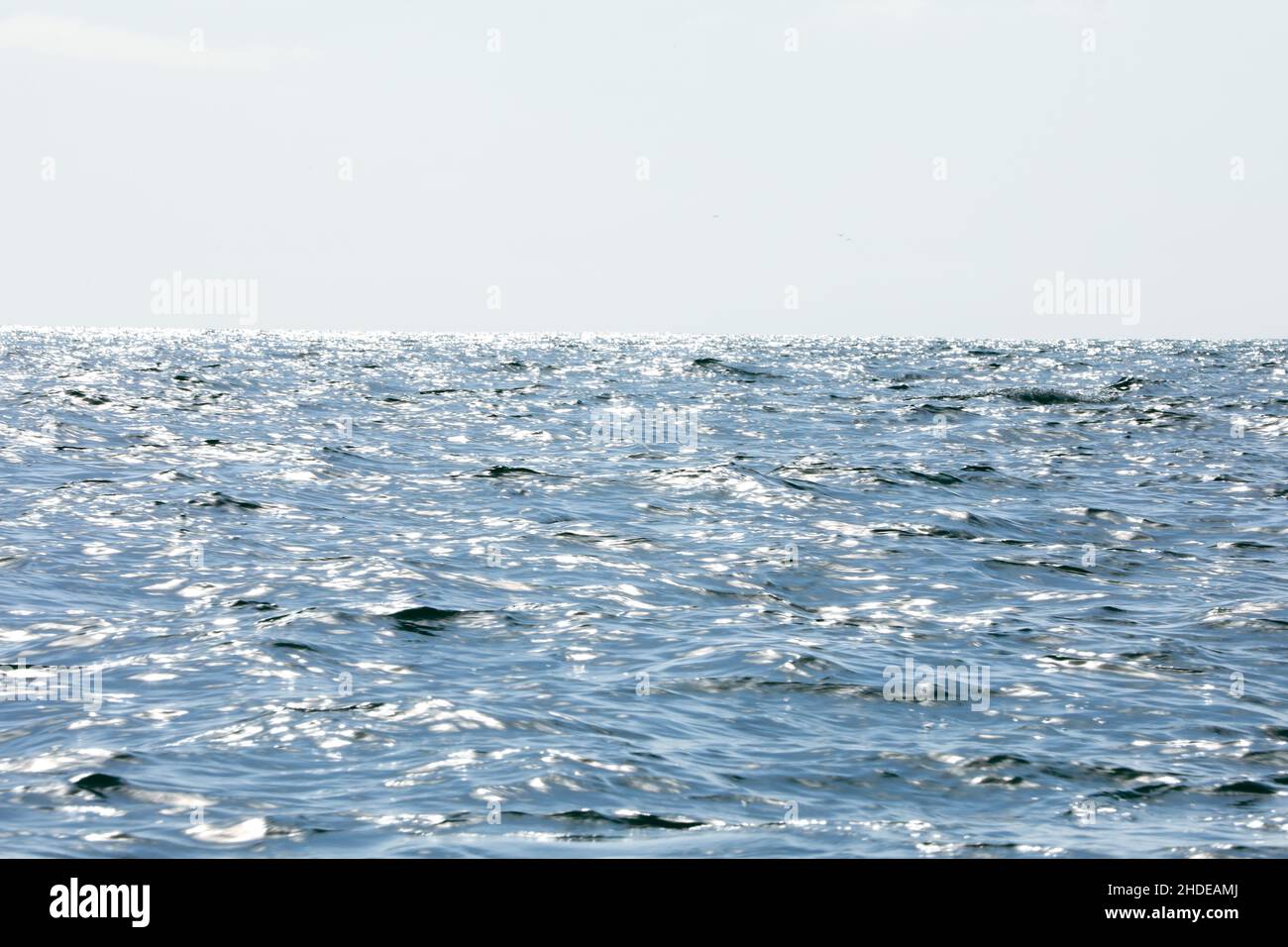 Beautiful view of the wavy sea shining under the sunrays Stock Photo ...