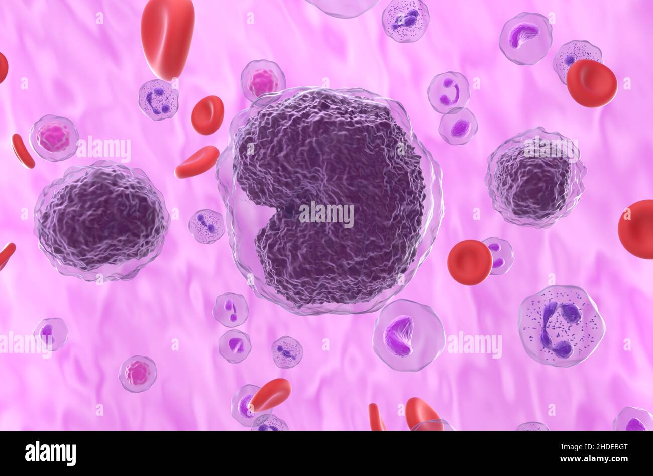 Microscopic view blood cells hi-res stock photography and images - Alamy