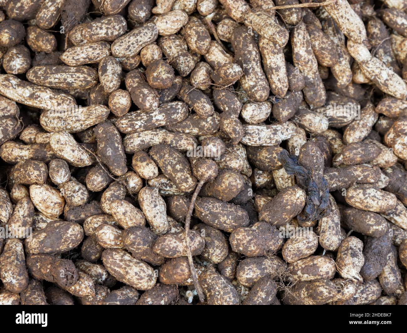 Peanut pile hi-res stock photography and images - Alamy