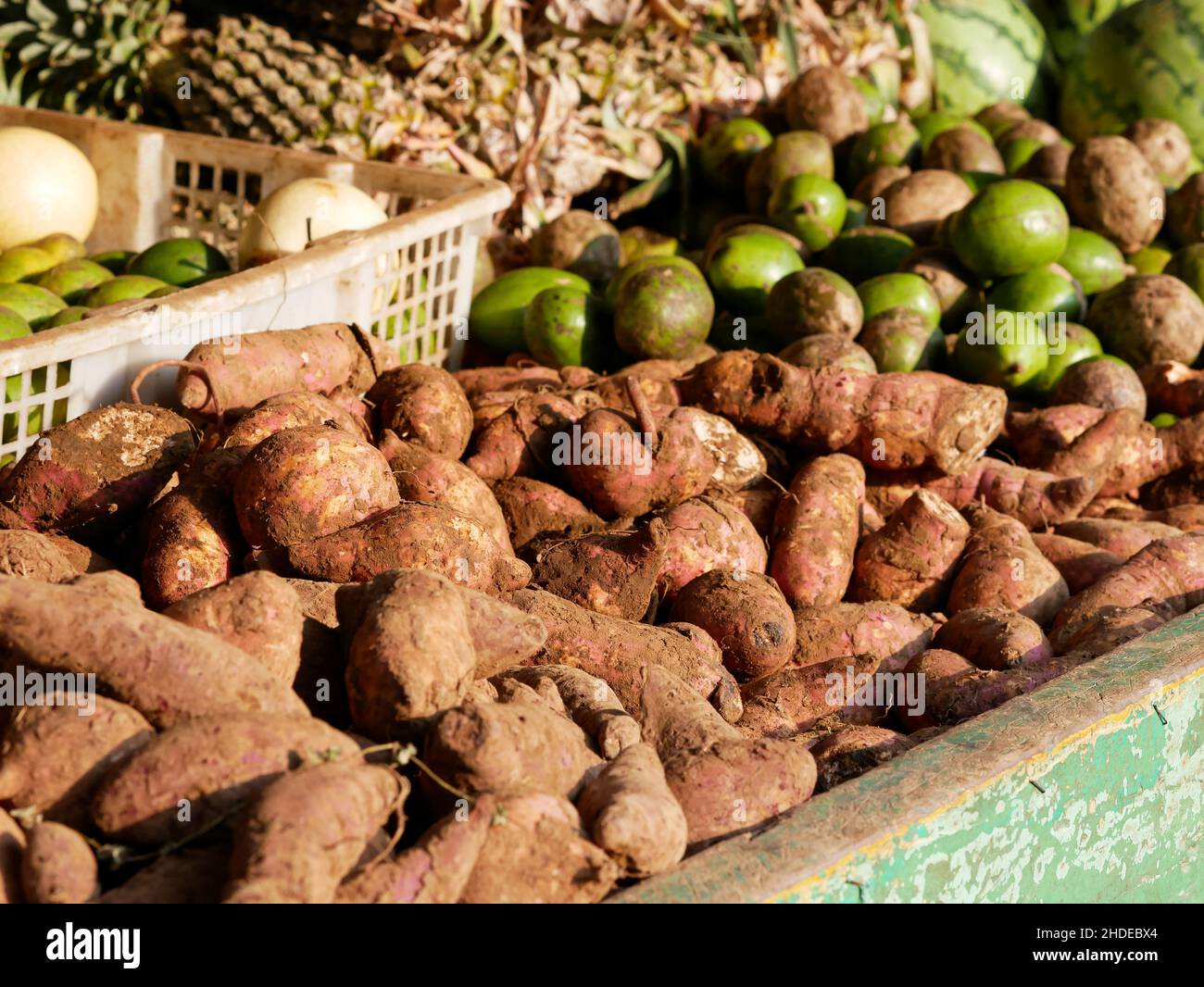 Fresh sweet potato on display for sale in the local Indonesian market ...