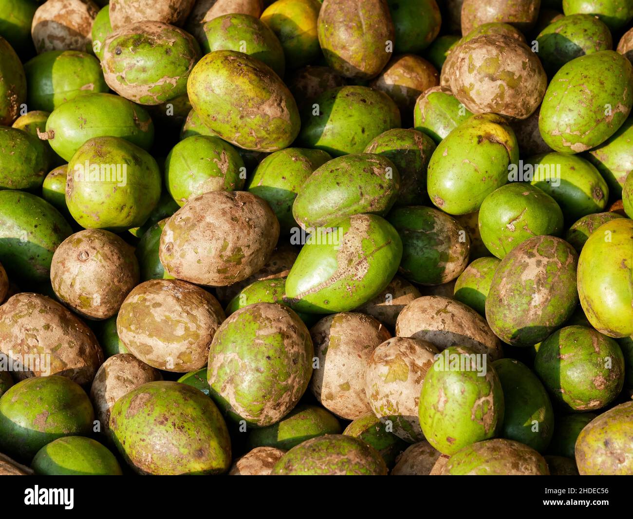 Fresh Ambarella fruit on display for sale in the local Indonesian ...