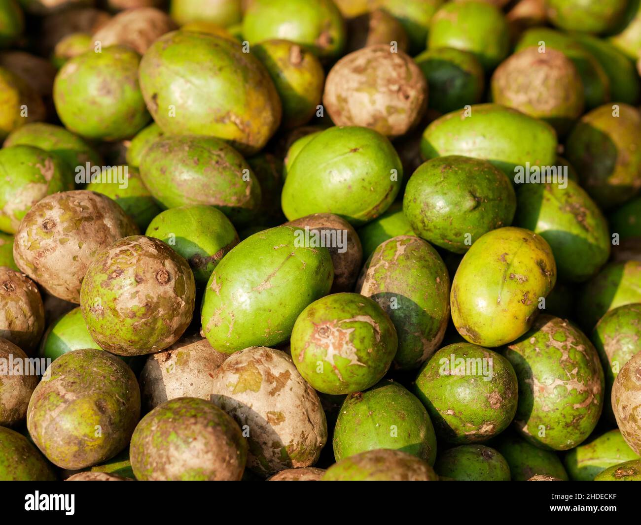 Tropical fruit display hi-res stock photography and images - Alamy