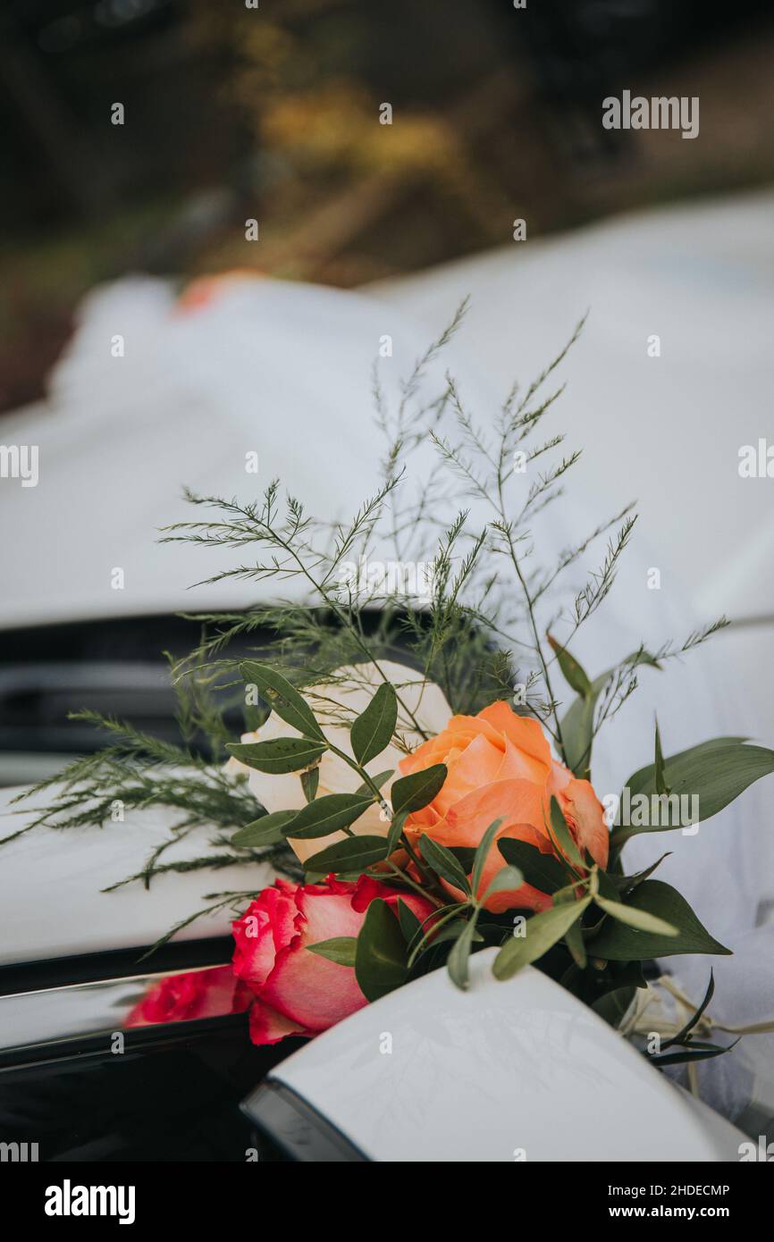 Different color roses hi-res stock photography and images - Alamy