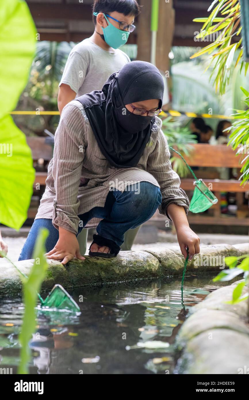 Children catching fish at the small water tunnel Stock Photo - Alamy