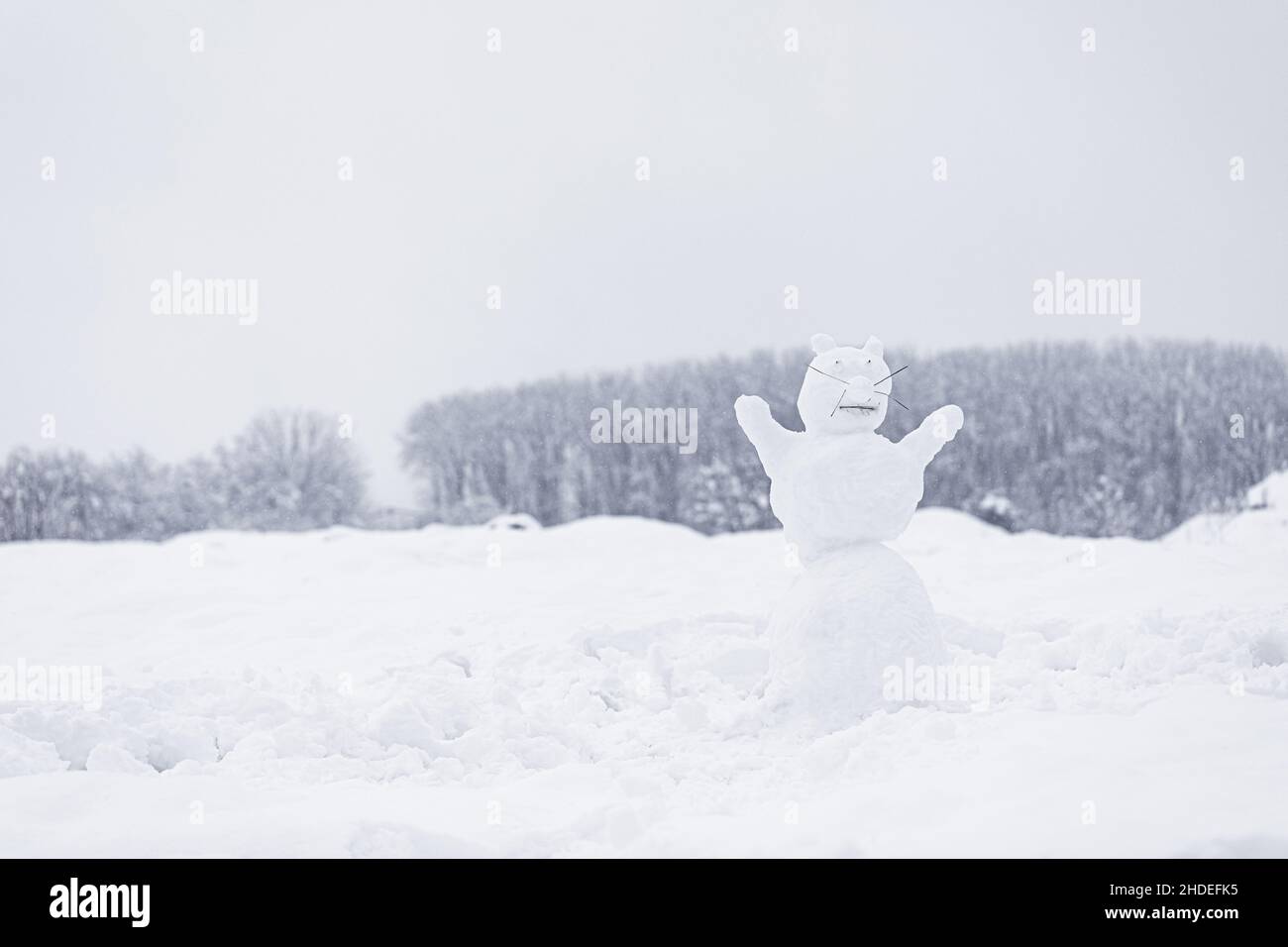 The figure of funny snowman animal in snowy field Stock Photo - Alamy