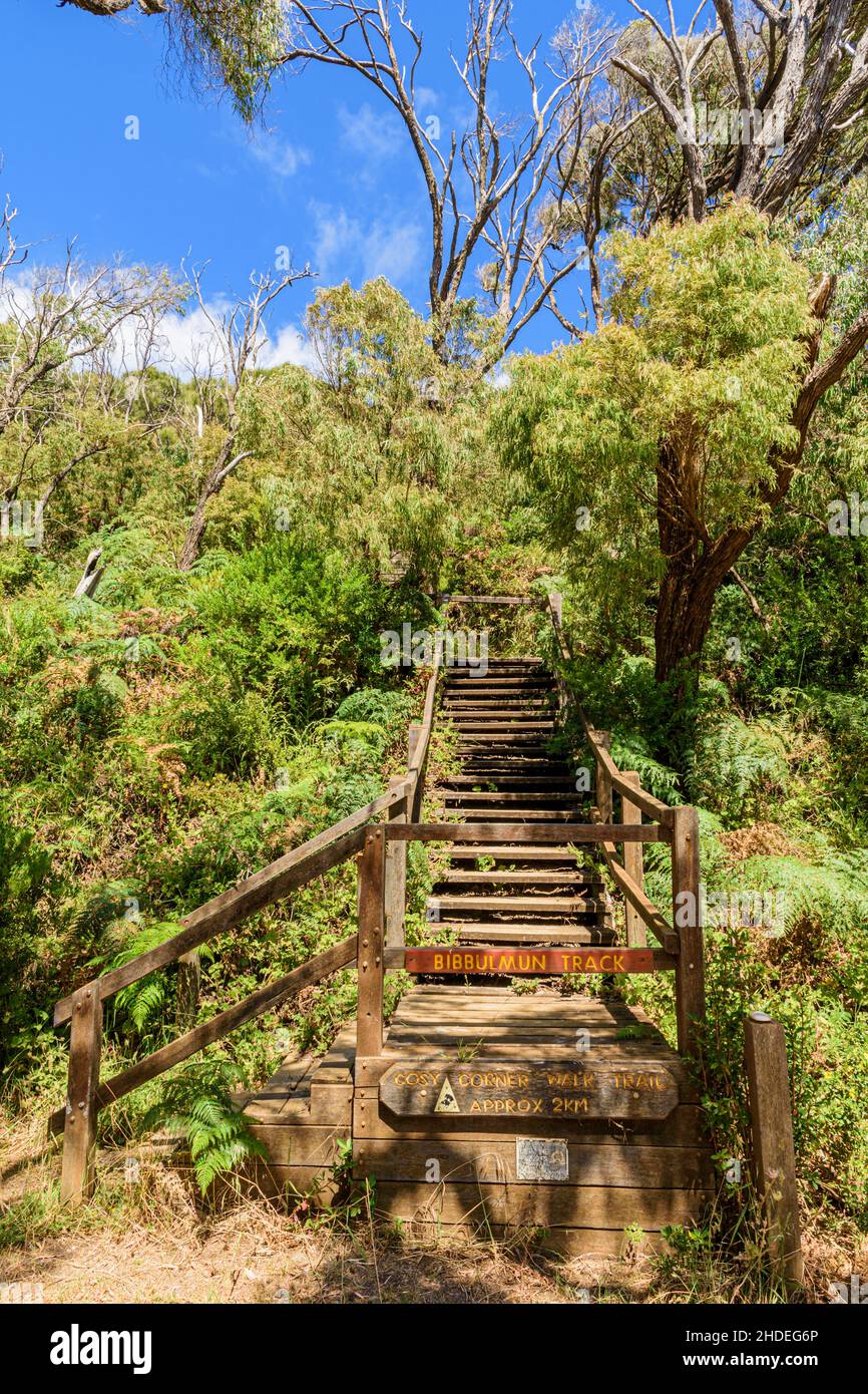 Bibbulmun Track and Cosy Corner Walk Trail wooden steps at Cosy Corner ...