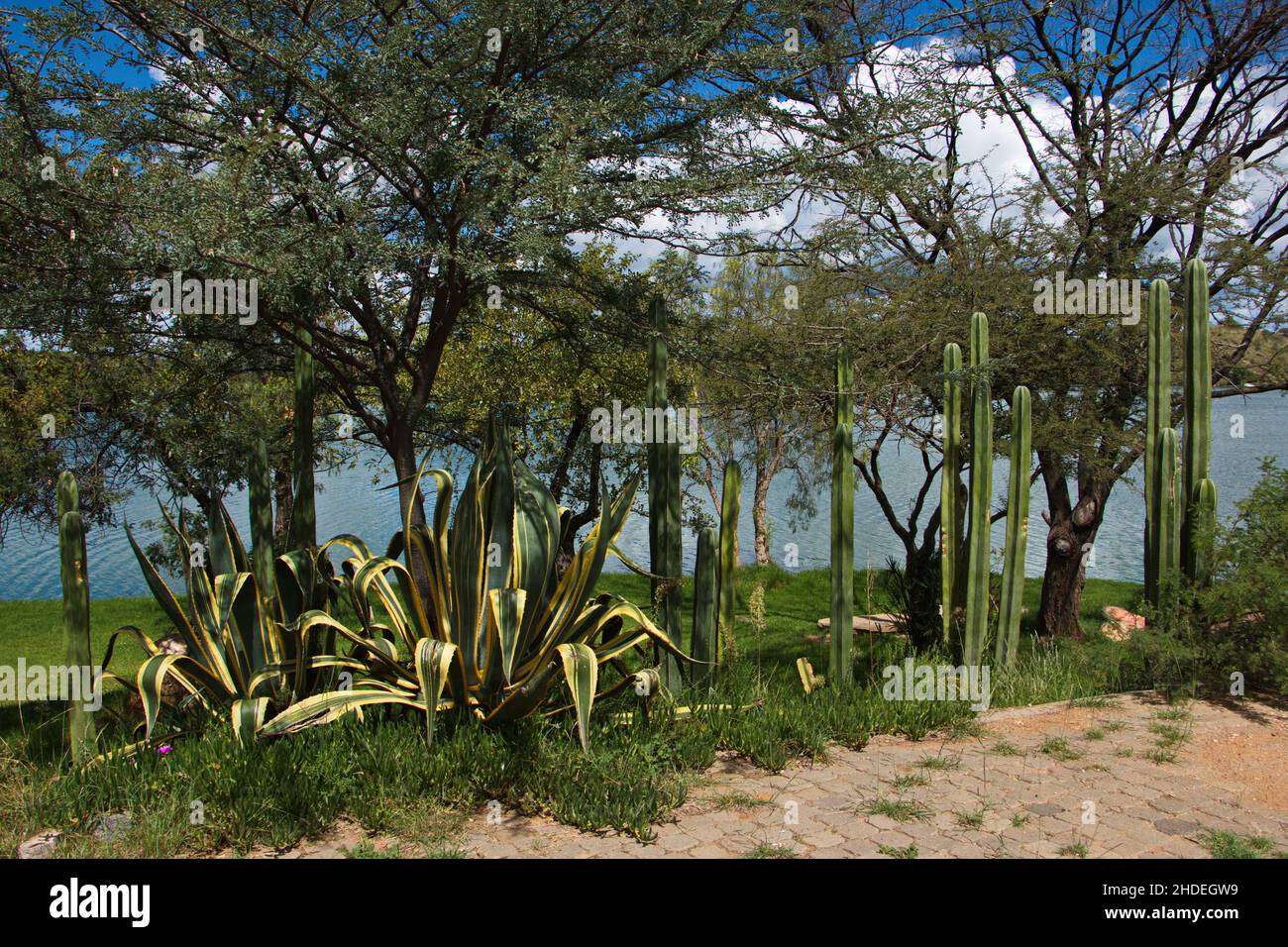 Goreangab water plant hi-res stock photography and images - Alamy