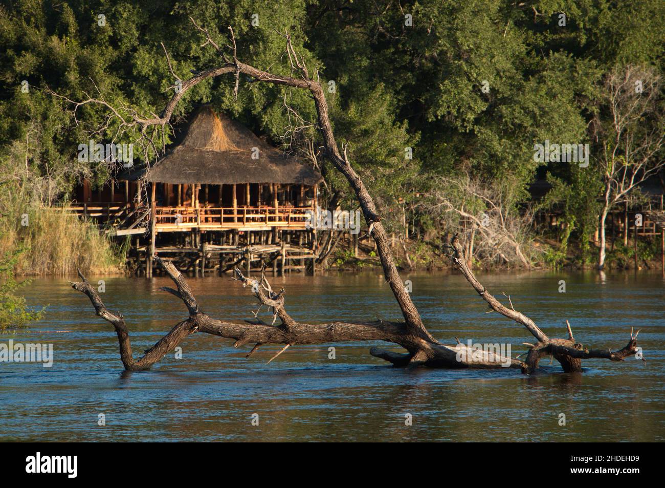 Nunda River Lodge at Okawango river in Namibia in Africa Stock Photo ...