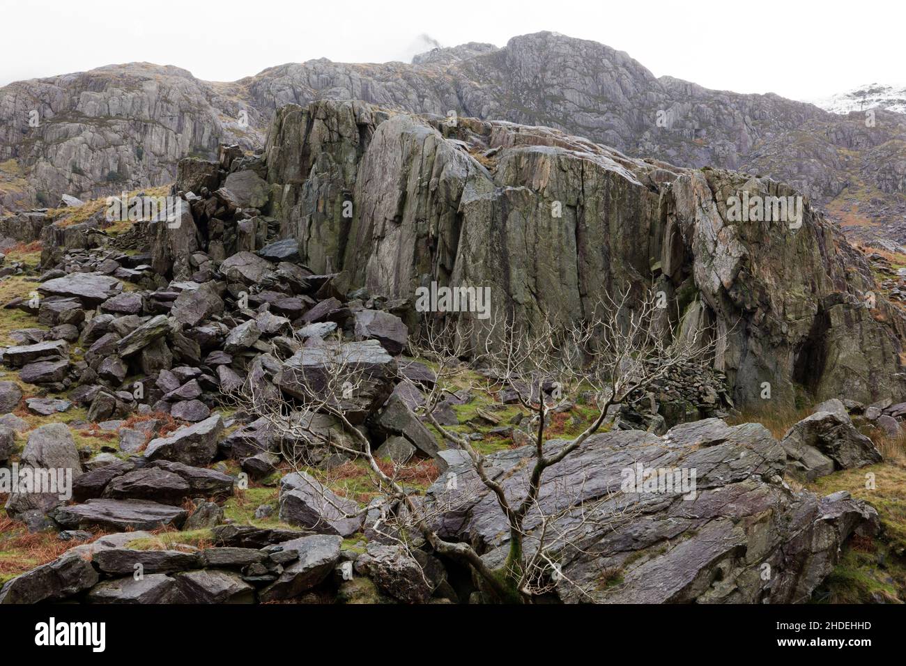 Rocks from cambrian and ordovician periods hi-res stock photography and ...