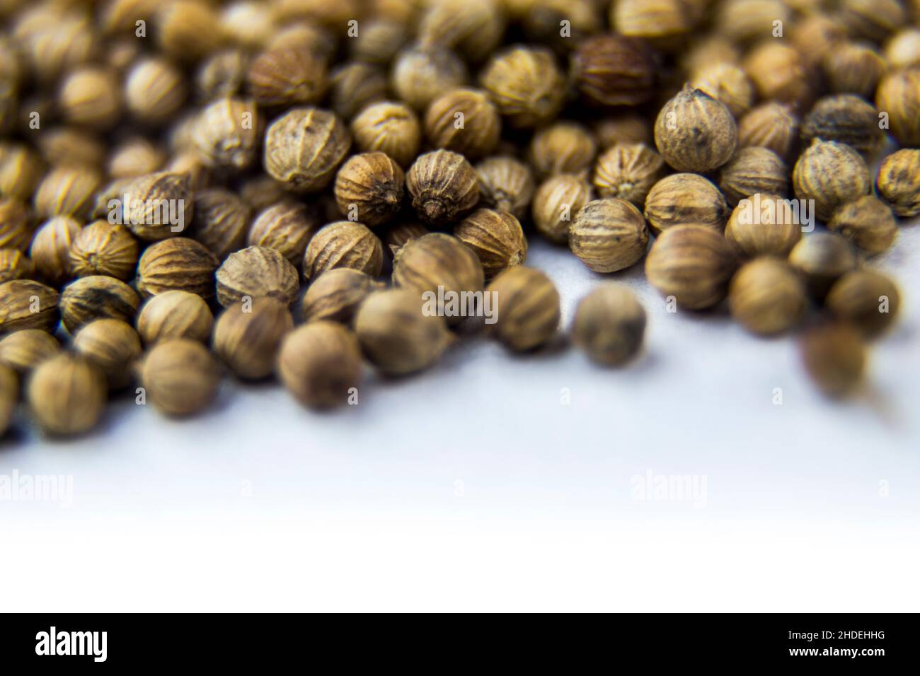 Macro Coriander seeds Stock Photo - Alamy
