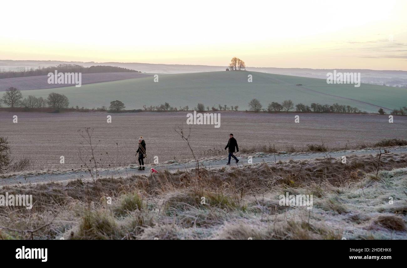Dog walkers walk in the frost at Wittenham Clumps near Abingdon in ...