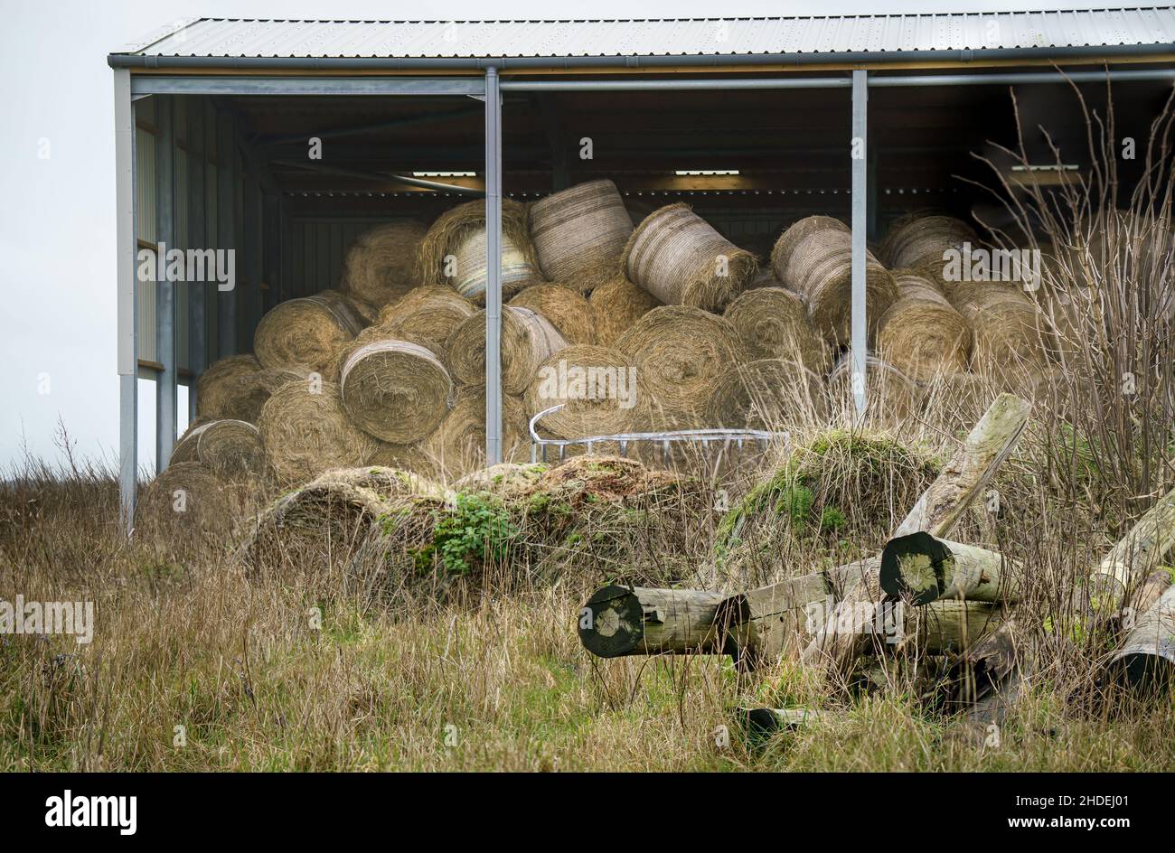 Hay Filled Barn High Resolution Stock Photography and Images - Alamy