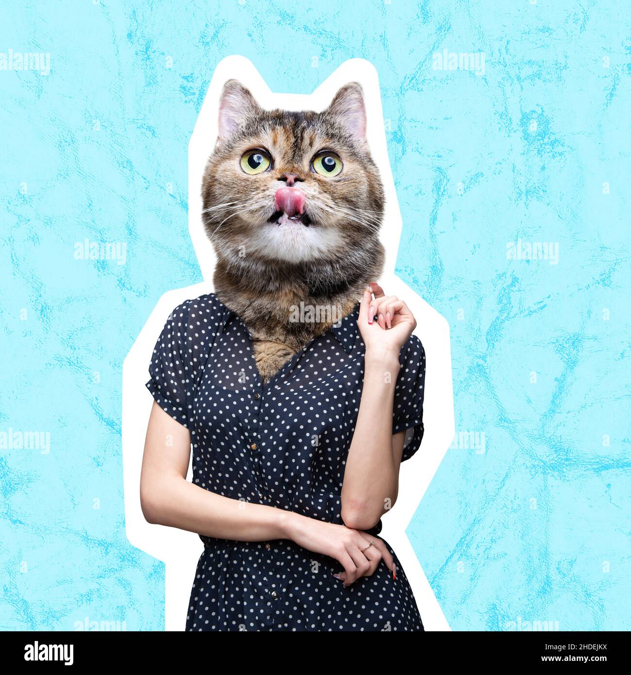 Contemporary artwork, conceptual collage. Young woman headed by cat ...