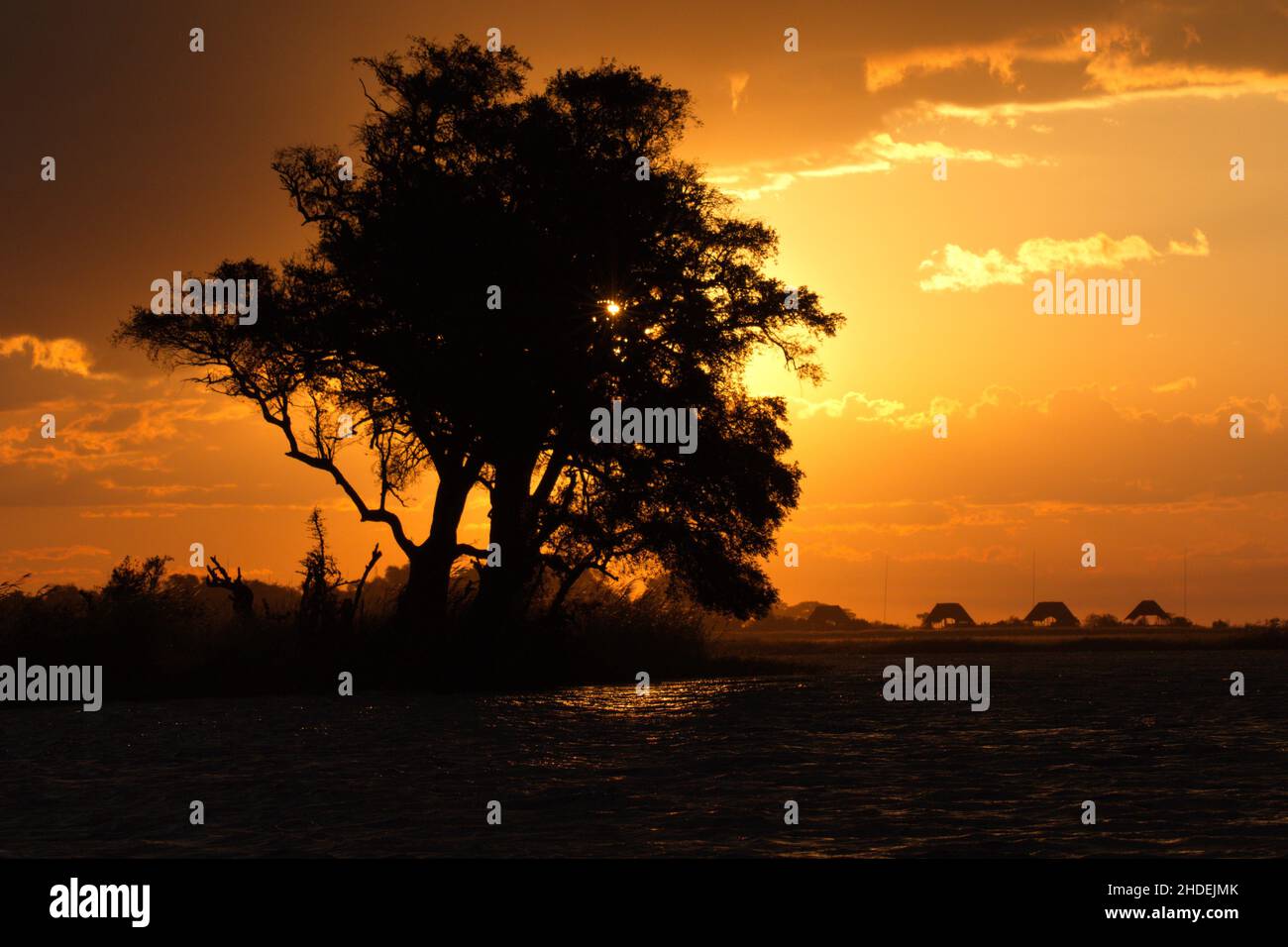 Sunset in Chobe National park in Botswana in Africa Stock Photo - Alamy