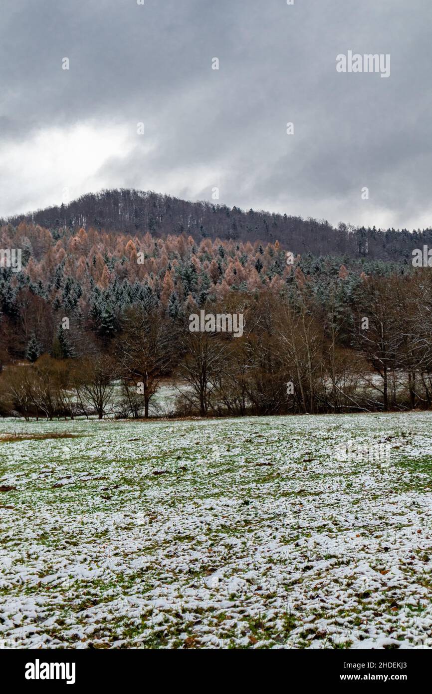Aerial view of the southwest slope of the Thuringian Forest near ...