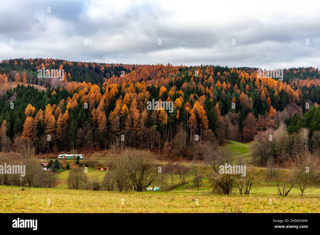 Aerial view of Thuringian forest in autumn, Thuringia Stock Photo - Alamy