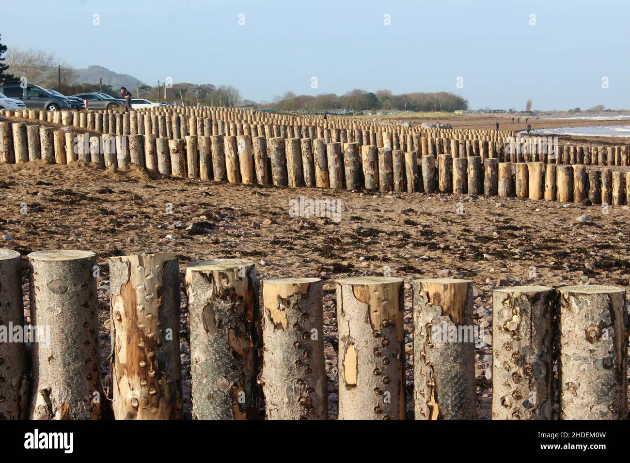 wooden groynes on dunster beach somerset england UK Stock Photo - Alamy