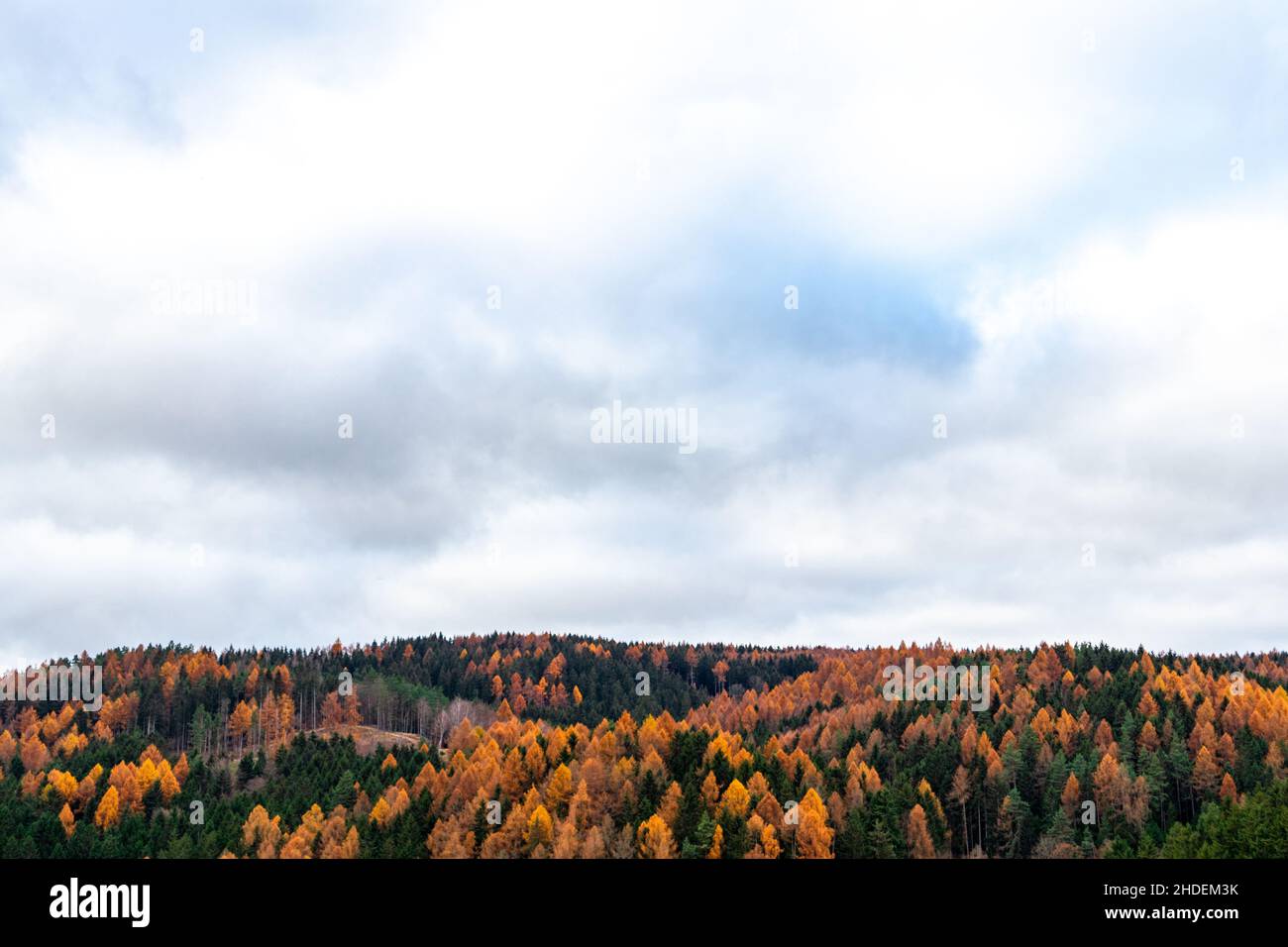 Aerial view of Thuringian forest in autumn, Thuringia Stock Photo - Alamy