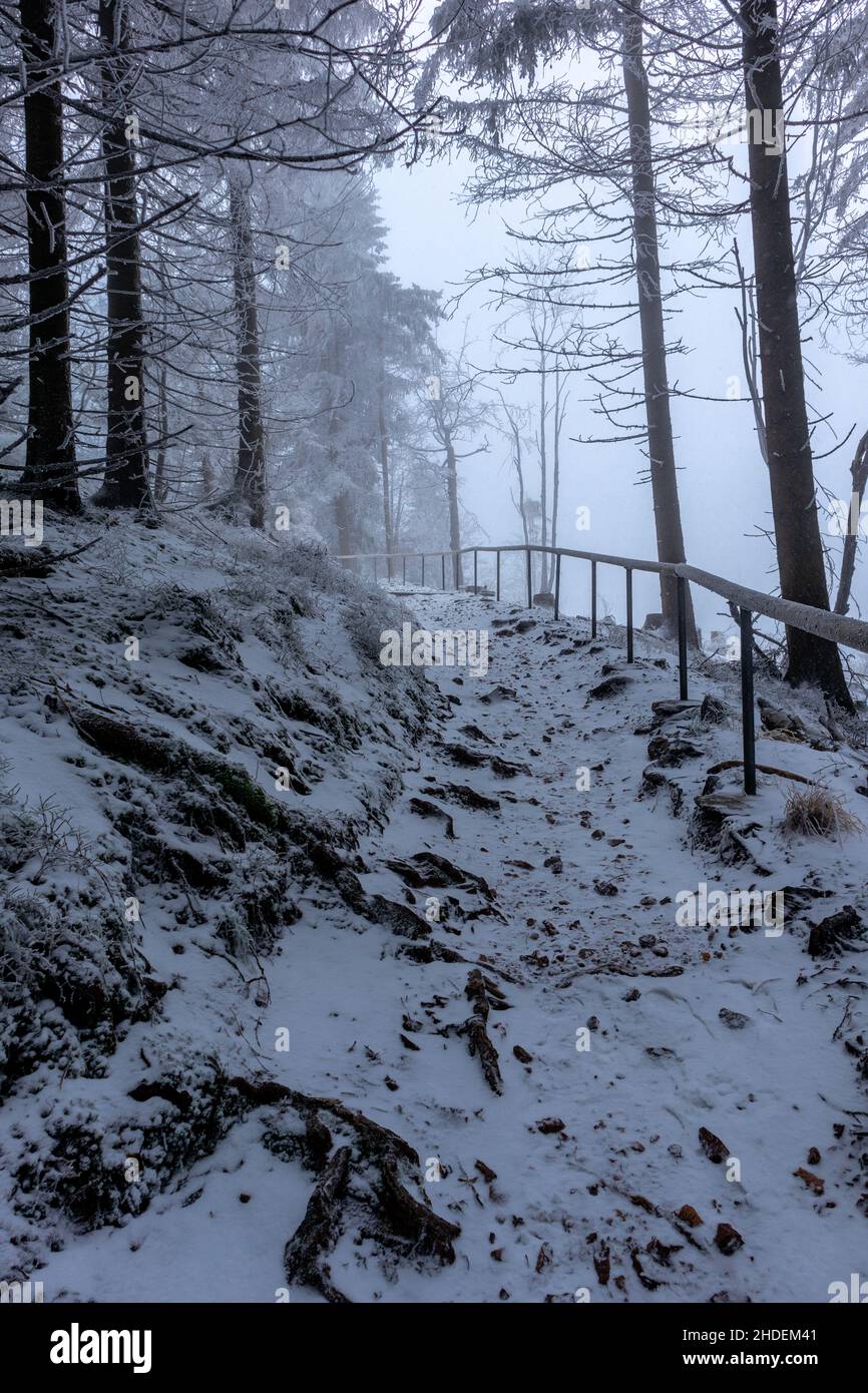 Thuringian forest winter hi-res stock photography and images - Alamy