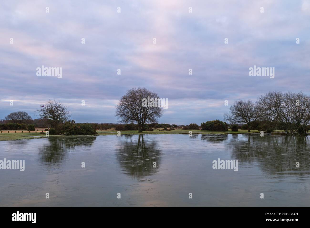 Frost forms hi-res stock photography and images - Alamy
