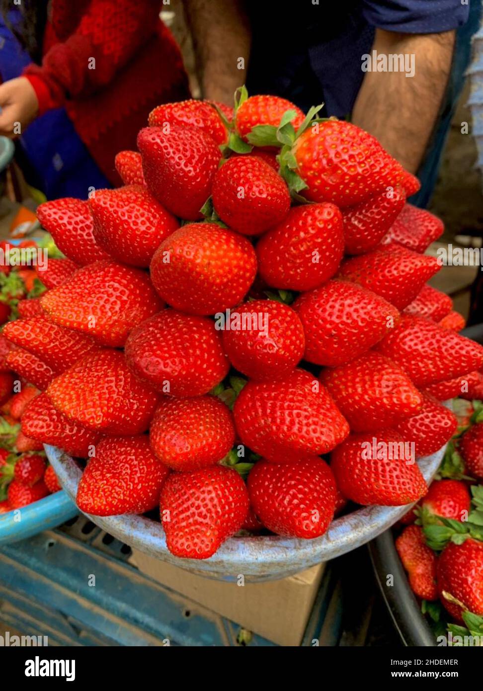 The garden strawberry is a widely grown hybrid species of the genus ...