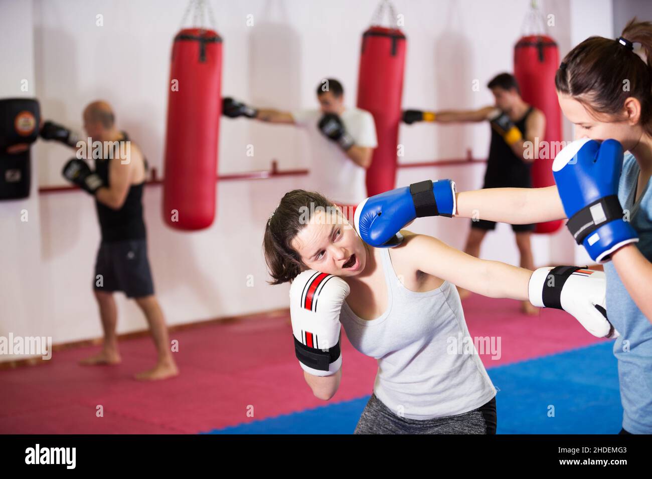 Sportswomen competing in colored boxing gloves Stock Photo - Alamy