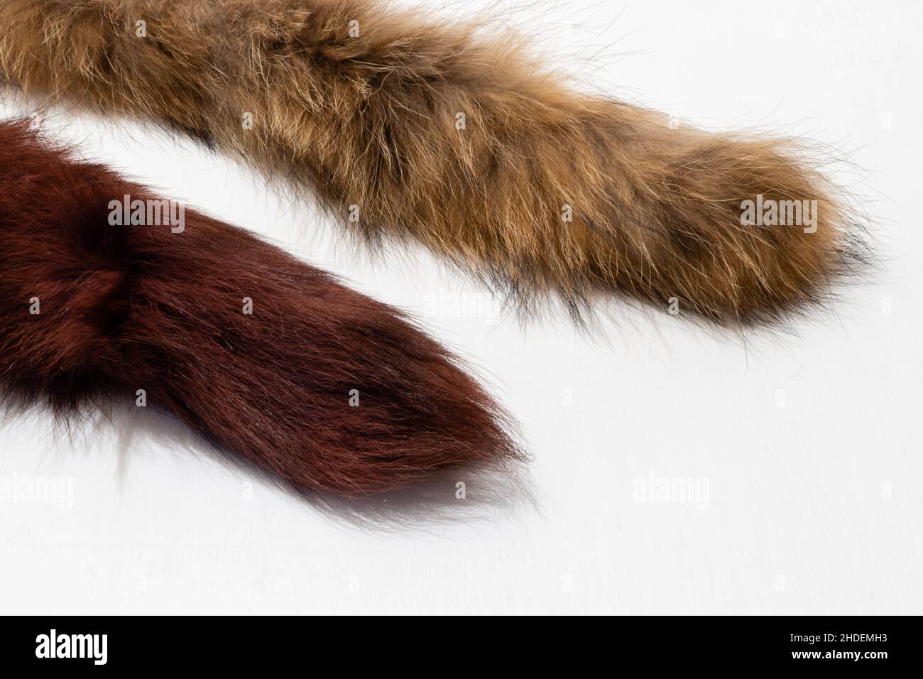 Two different tails of fluffy tousled wild animals on white background ...