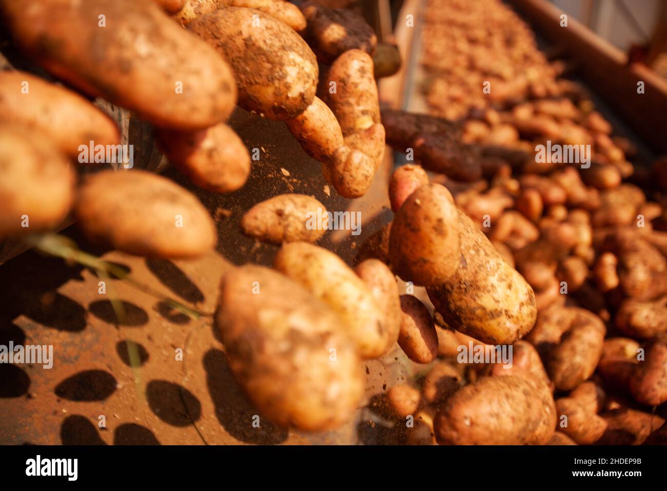 Factory interior. Chips production. Factory equipment, product ...
