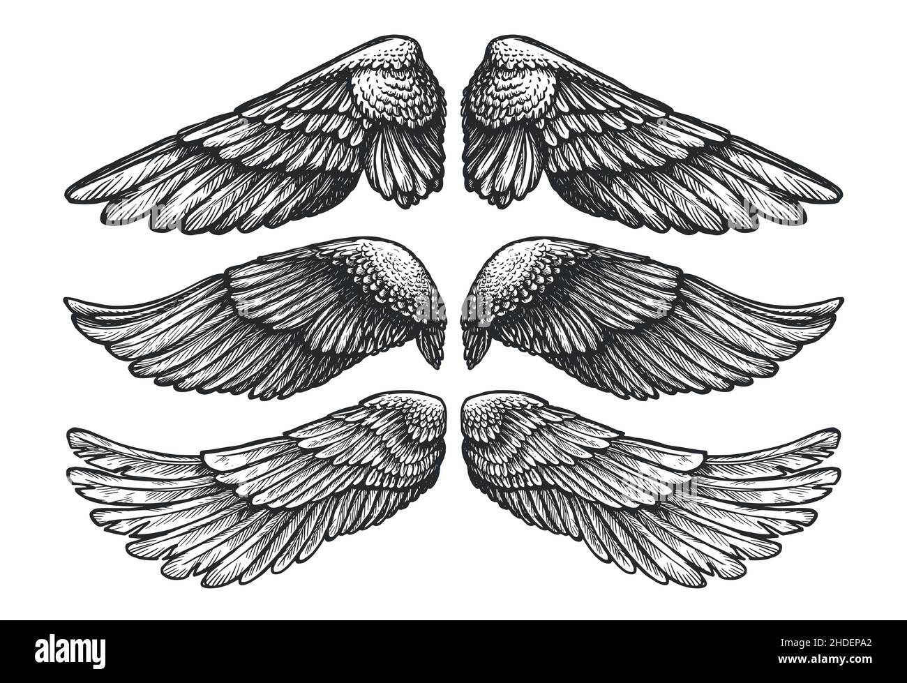 Pair of wings of bird or angel, hand drawn vector illustration. Set of ...