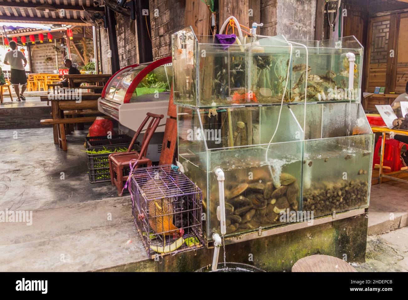 Chinese restaurant fish tank hi-res stock photography and images - Alamy