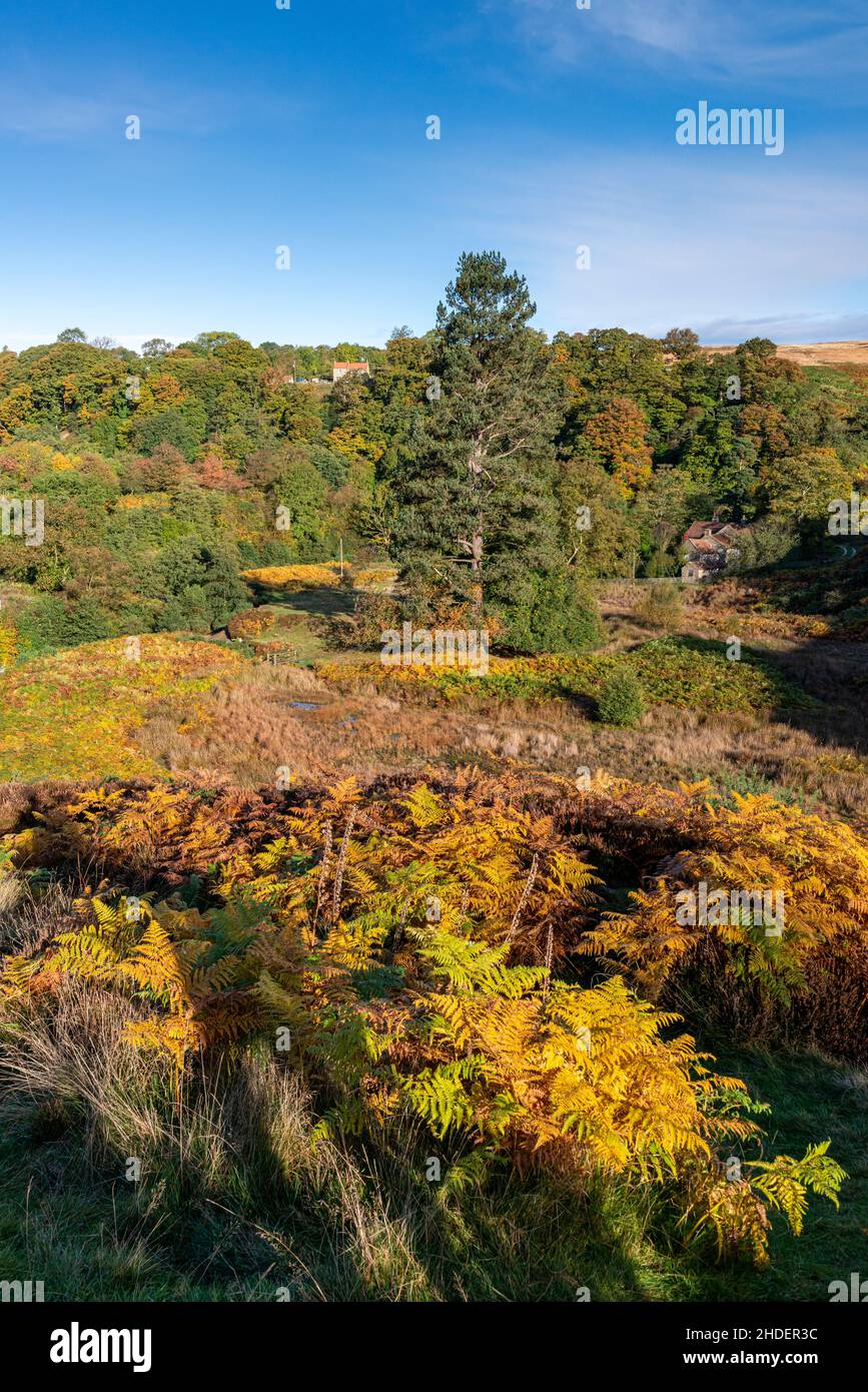 Darnholme hi-res stock photography and images - Alamy