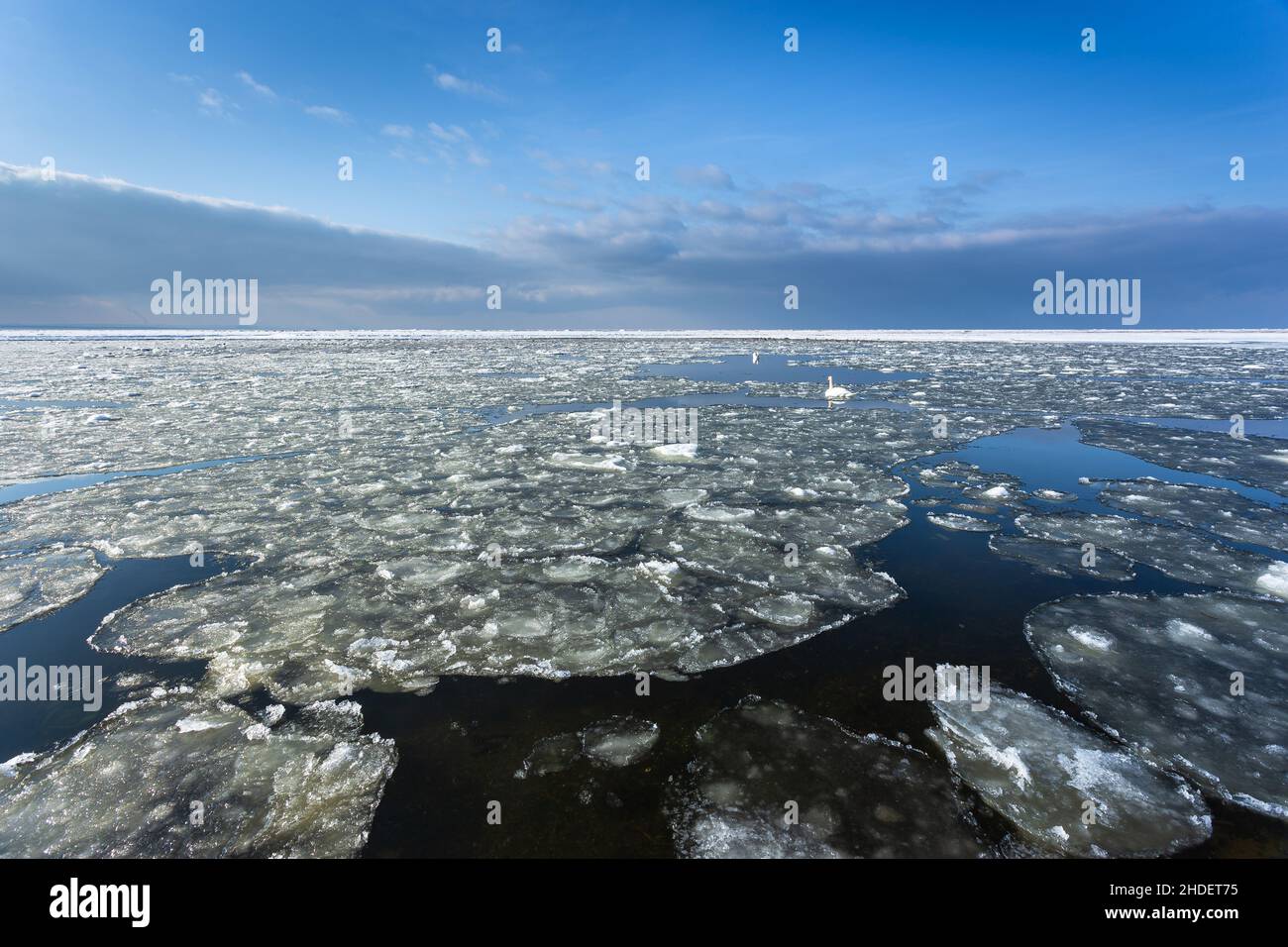 Winter landscape at the sea in Sobieszewska Island. A beach strewn with ...