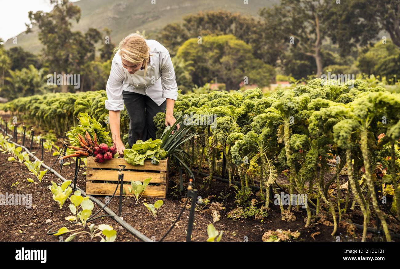 Professional farming hi-res stock photography and images - Alamy