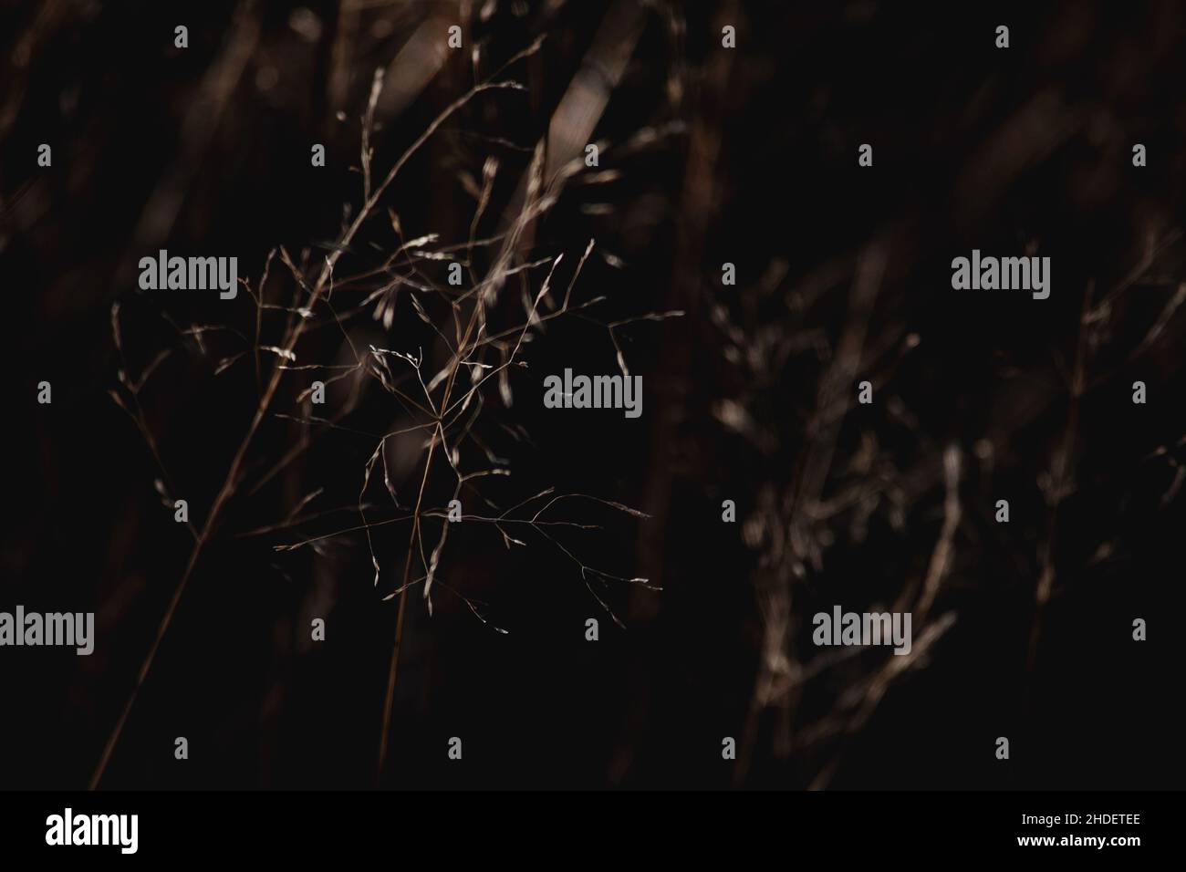 Moody tones hi-res stock photography and images - Alamy