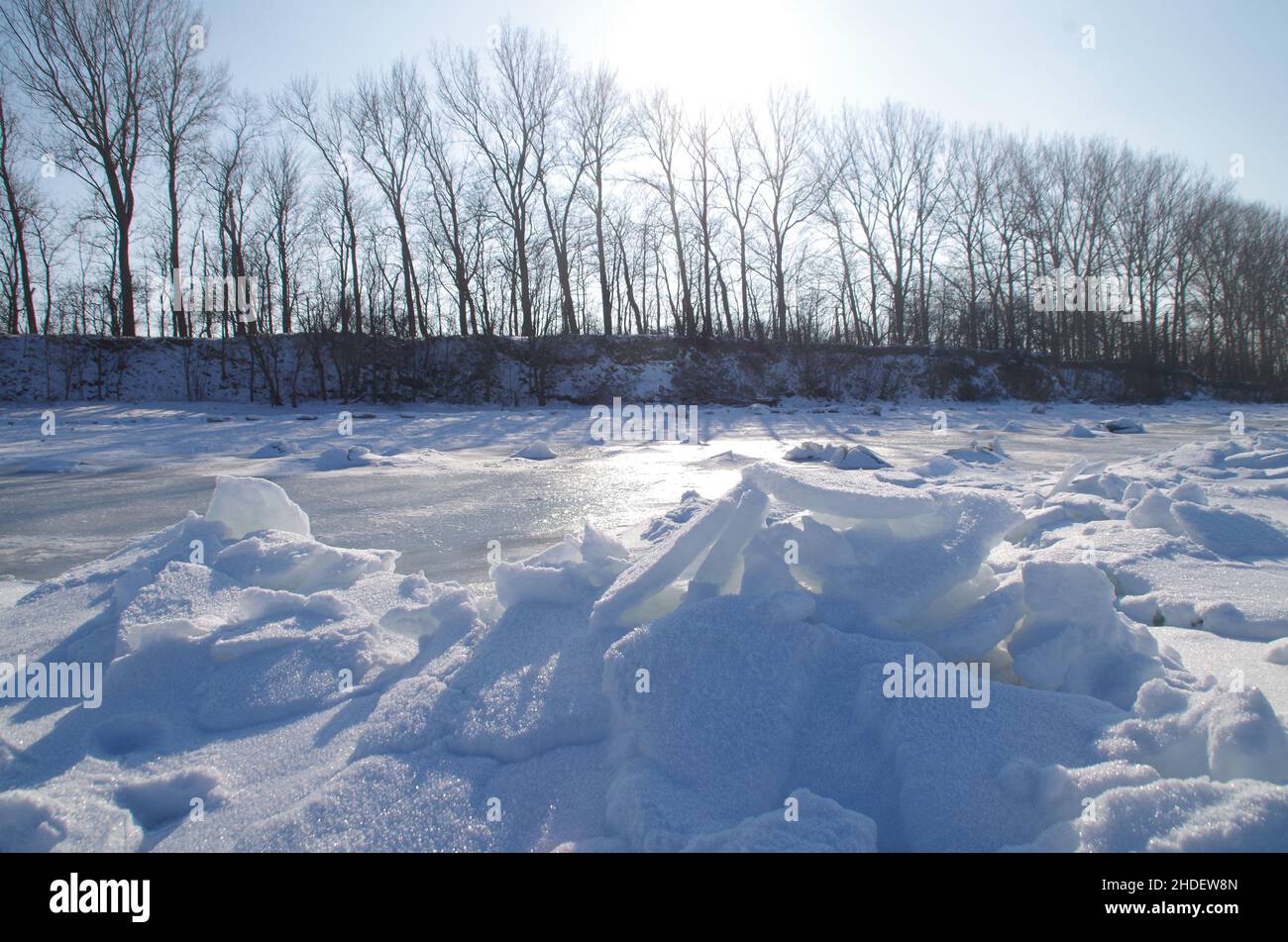 Scenery in winter with small sheets of floating ice and rees Stock ...