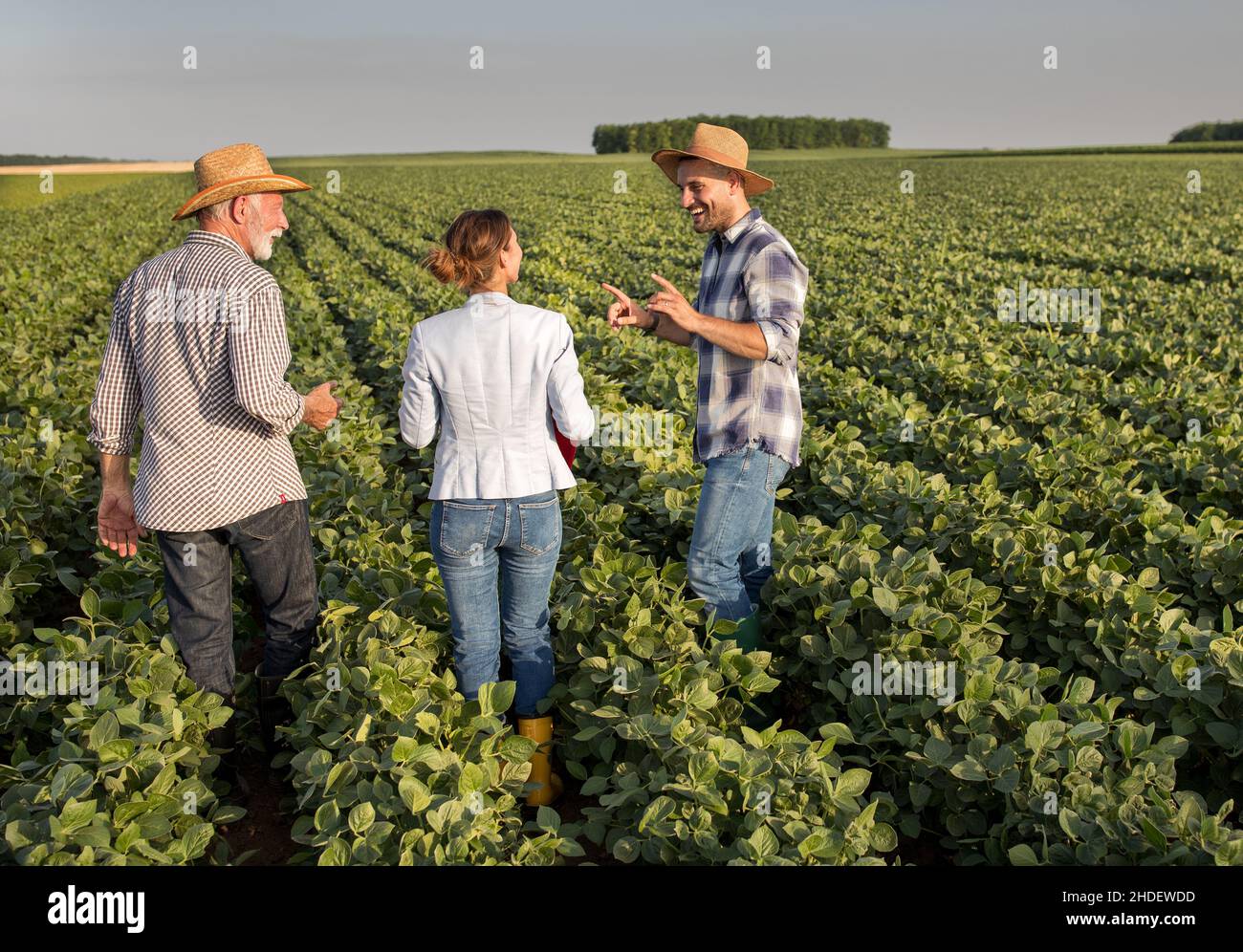 Happy farmers communicating with female insurance agent while walking ...