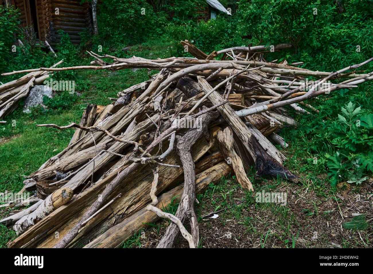 A pile of felled tree branches. Processing of trees in the spring Stock ...