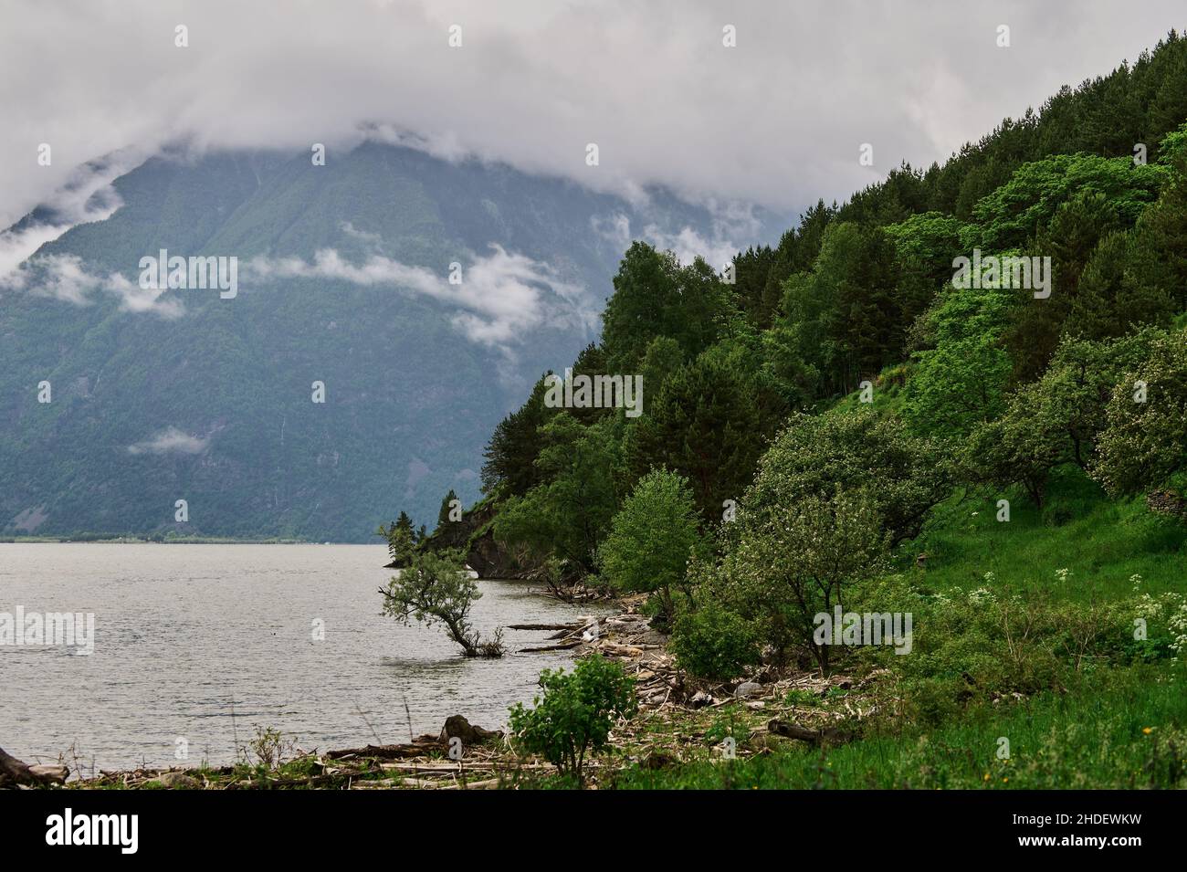 Teletskoye lake in Altai mountains, Siberia, Russia. Beauty summer ...