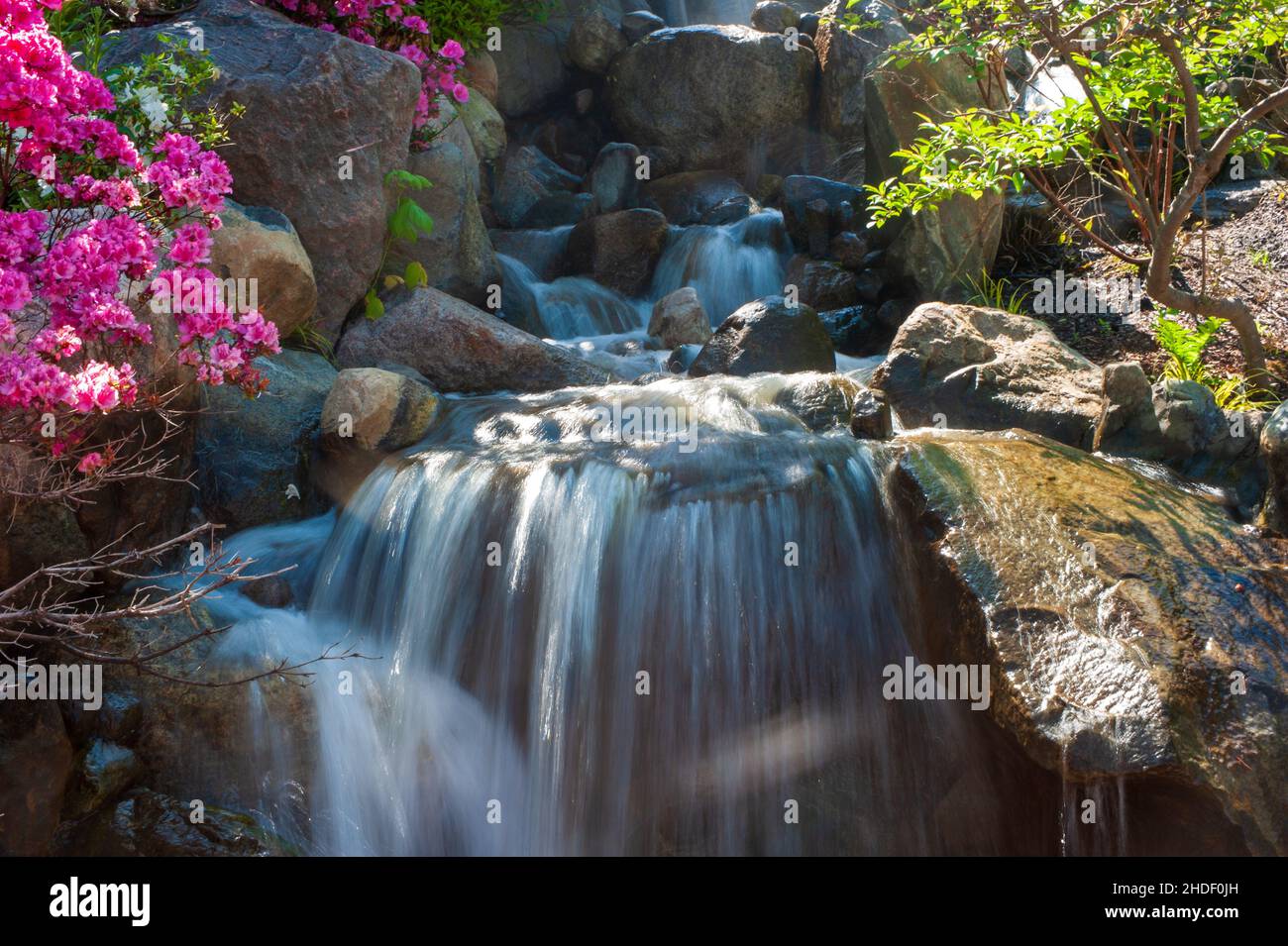 Beautiful small waterfall in a japanese style garden Stock Photo - Alamy