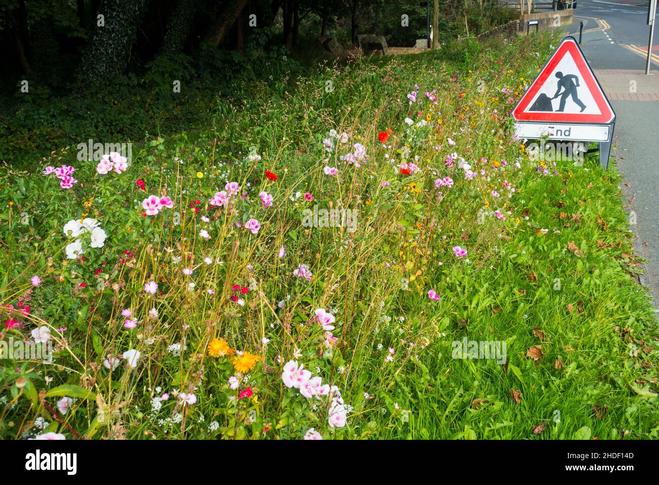 Roadside planting hi-res stock photography and images - Alamy