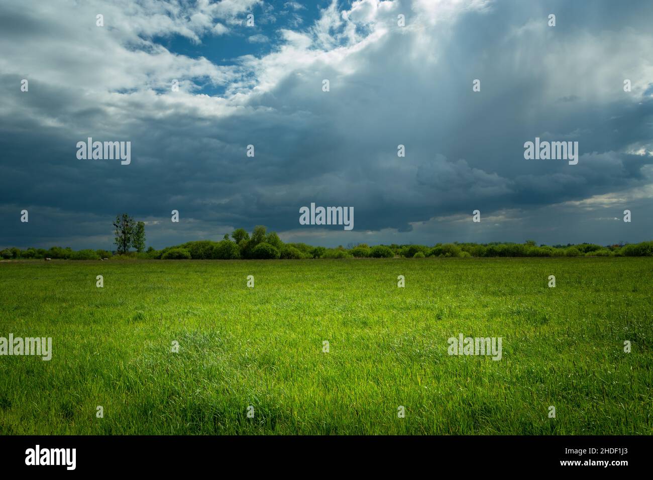 Green meadow and cloudy sky, spring landscape Stock Photo - Alamy